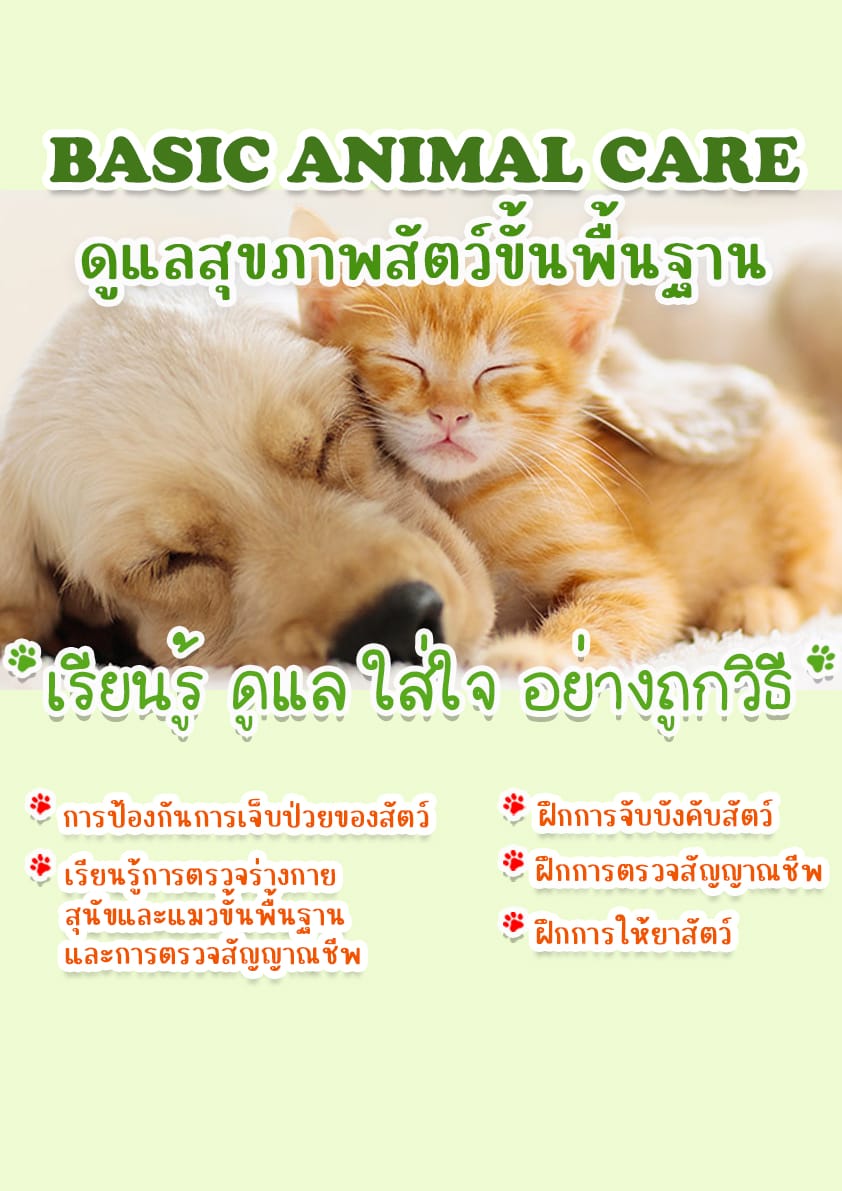 Course NK ANIMAL CLINIC Course NK ANIMAL CLINIC