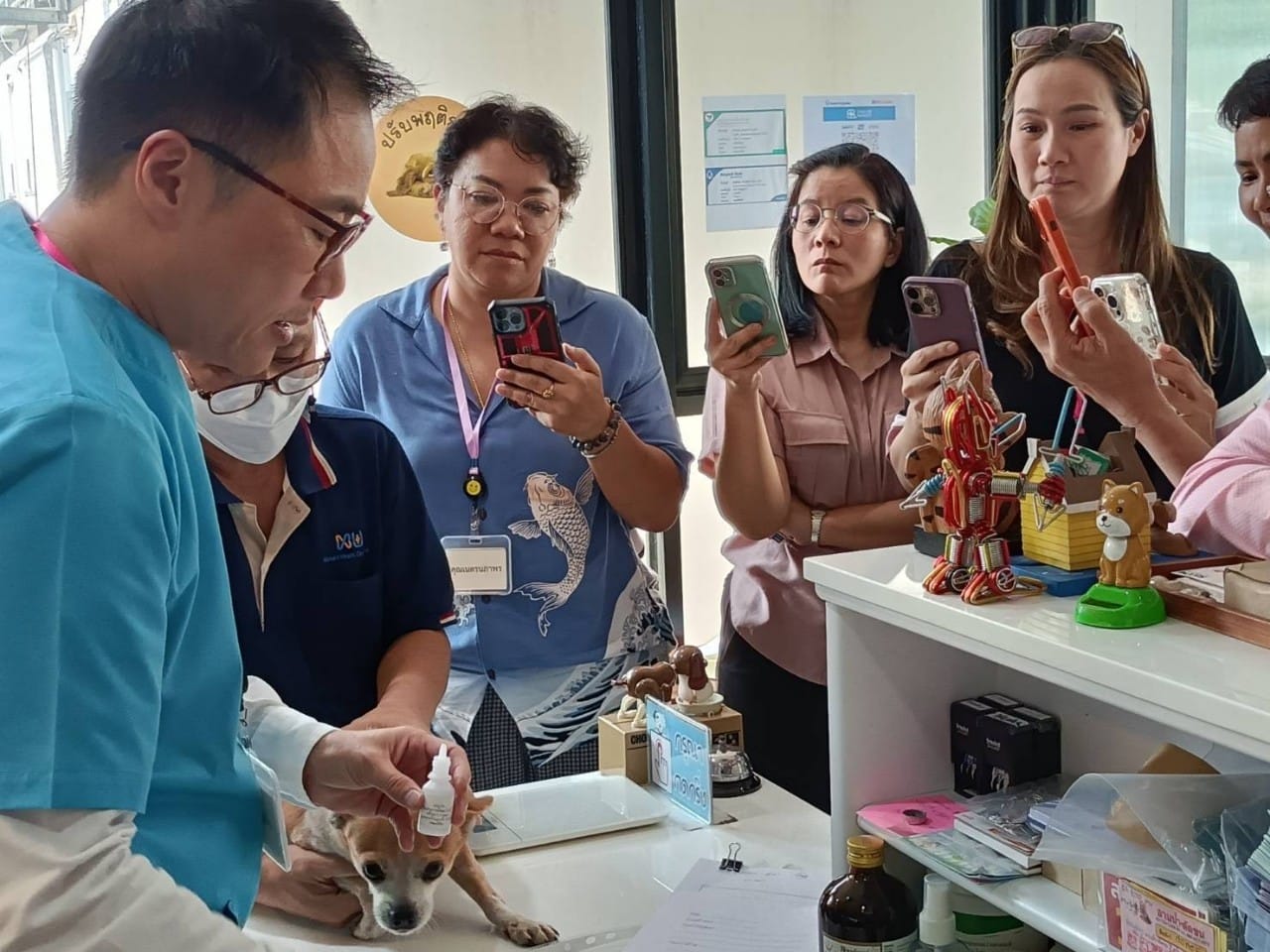 Course NK ANIMAL CLINIC Course NK ANIMAL CLINIC