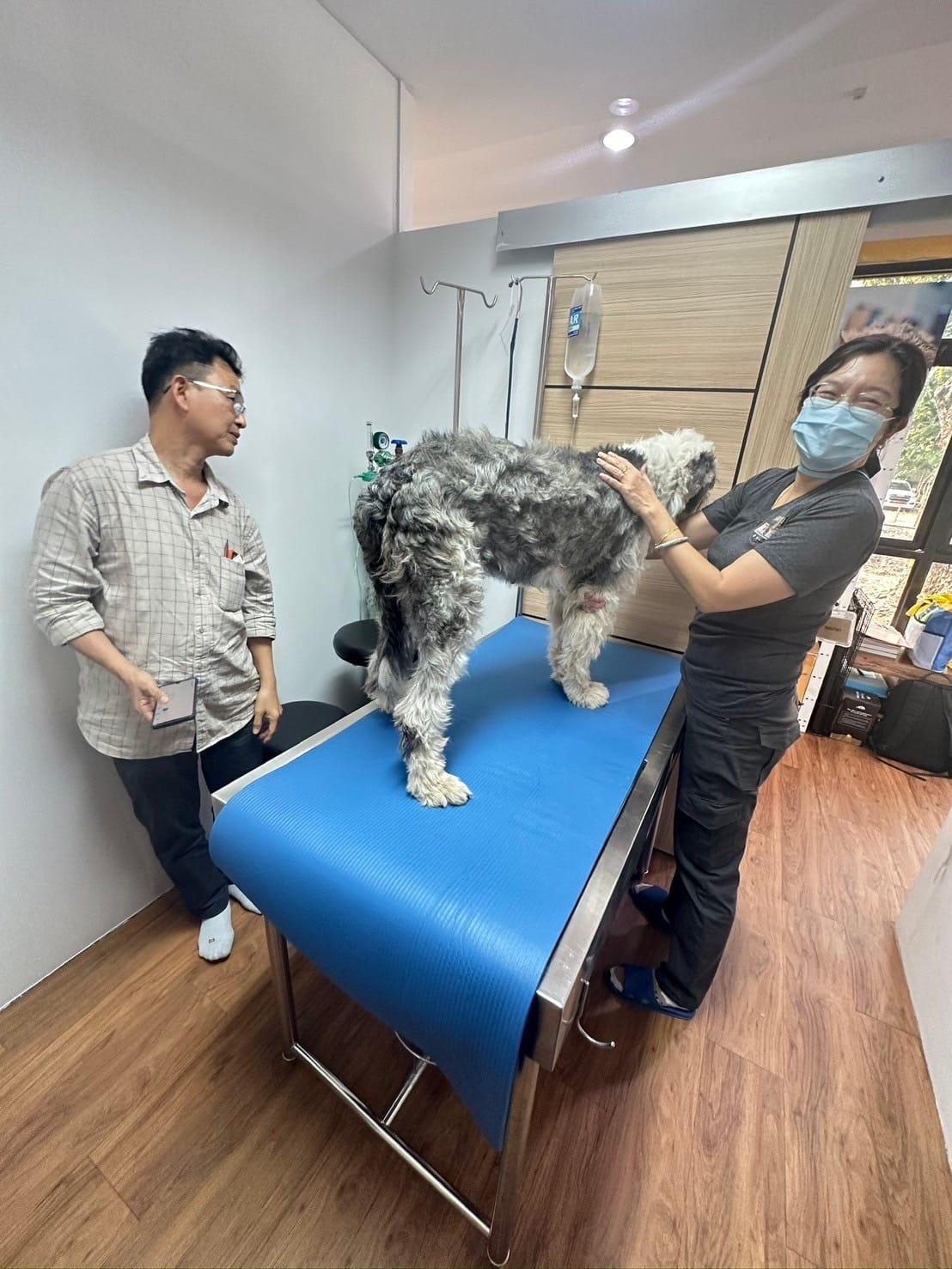 Course NK ANIMAL CLINIC Course NK ANIMAL CLINIC