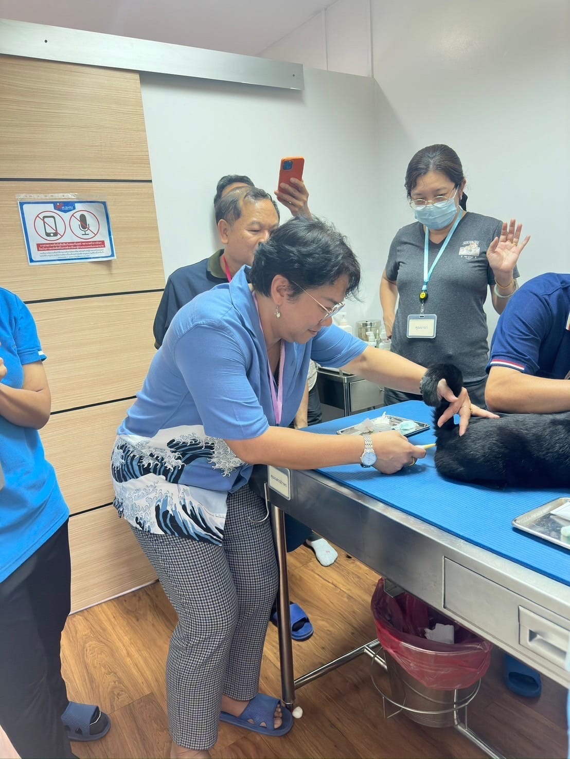 Course NK ANIMAL CLINIC Course NK ANIMAL CLINIC